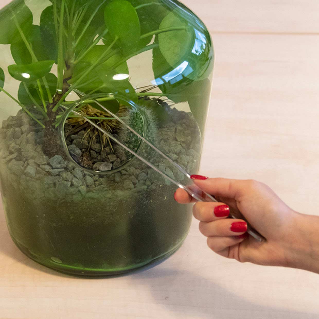 Terrarium clamp – French Blossom